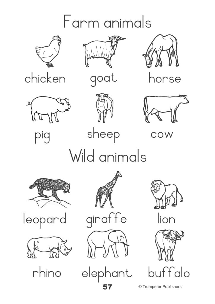 My first Dictionary (Print) - trumpeterpublishers